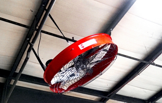 AirFocus Variable Speed Directional Ceiling Fan | Order Ceiling Mounted ...